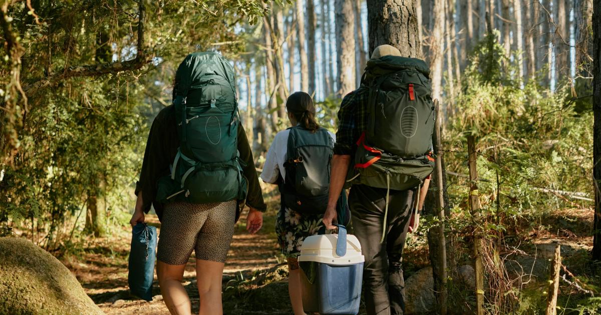What to Know Before Camping in Cyprus Forests