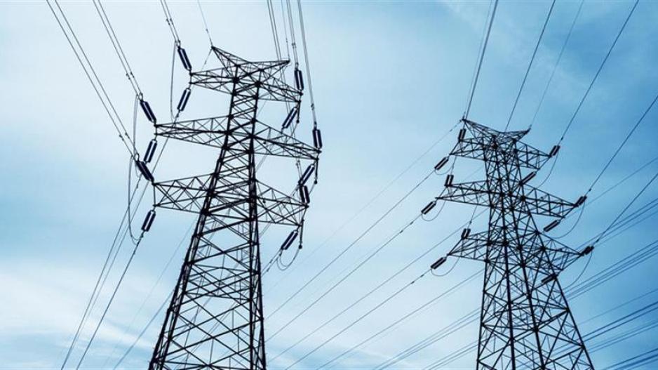 Opening of the Competitive Electricity Market with 17 Participants ...